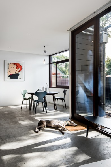 The Exploding! Shed House: An Experiment in Small Footprint Living ...