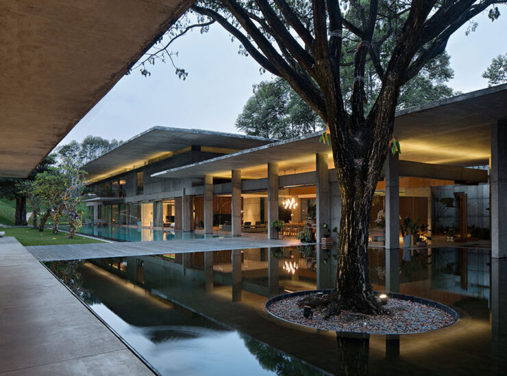 Andra Martin | Habitus Living