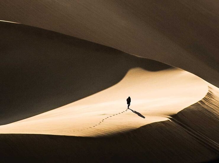 David Congram | Habitus Living